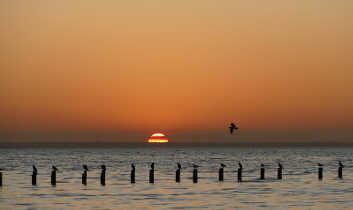 Things to do in Bellarine Peninsula, Victoria