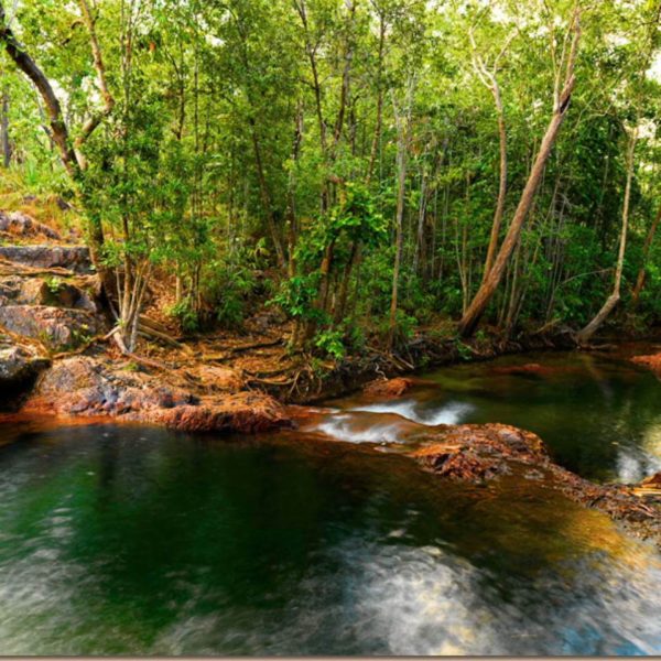 Darwin Tours | Darwin Day Trips and Sightseeing Tours