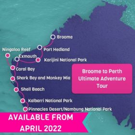 Broome to Perth Tours