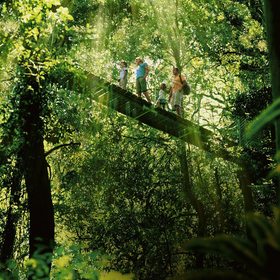1 Day Gold Coast Rainforest & Wildlife Tour $148