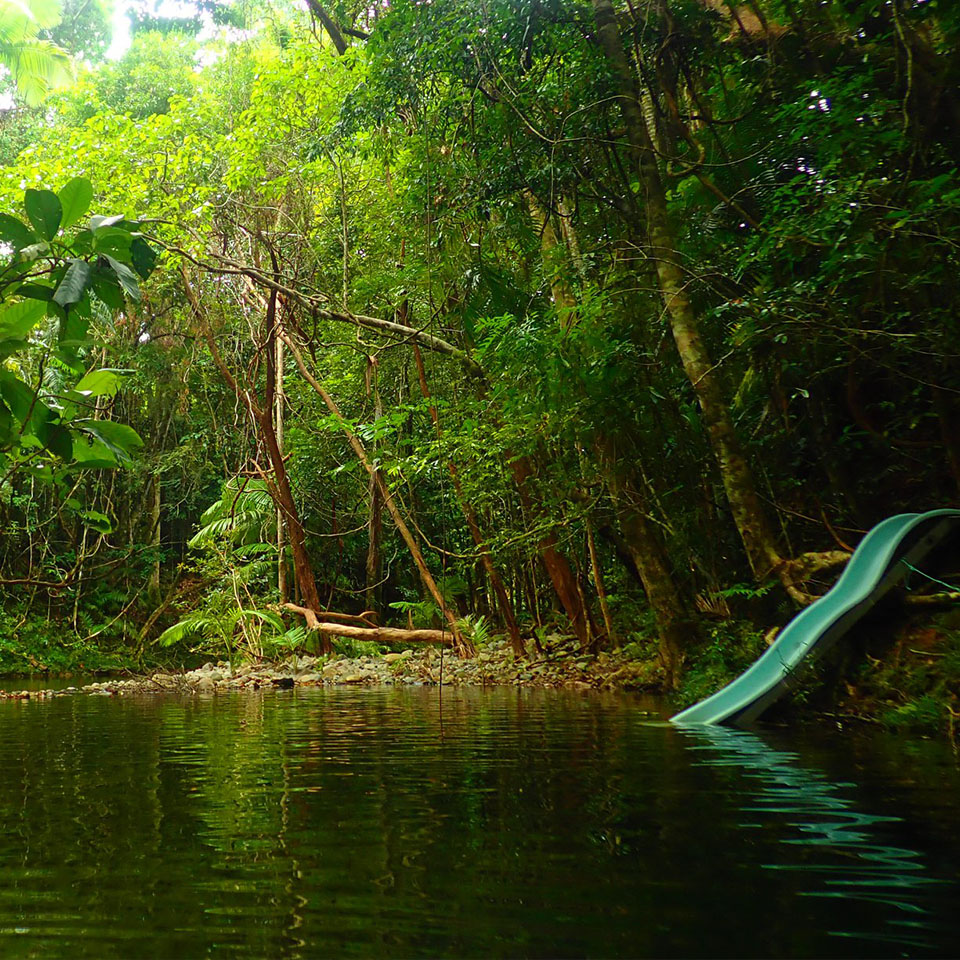 1 Day Cape Tribulation & Daintree Rainforest Tour $169
