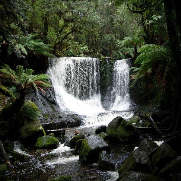 Visit Tasmania - Best Day Hikes for your time in Tasmania
